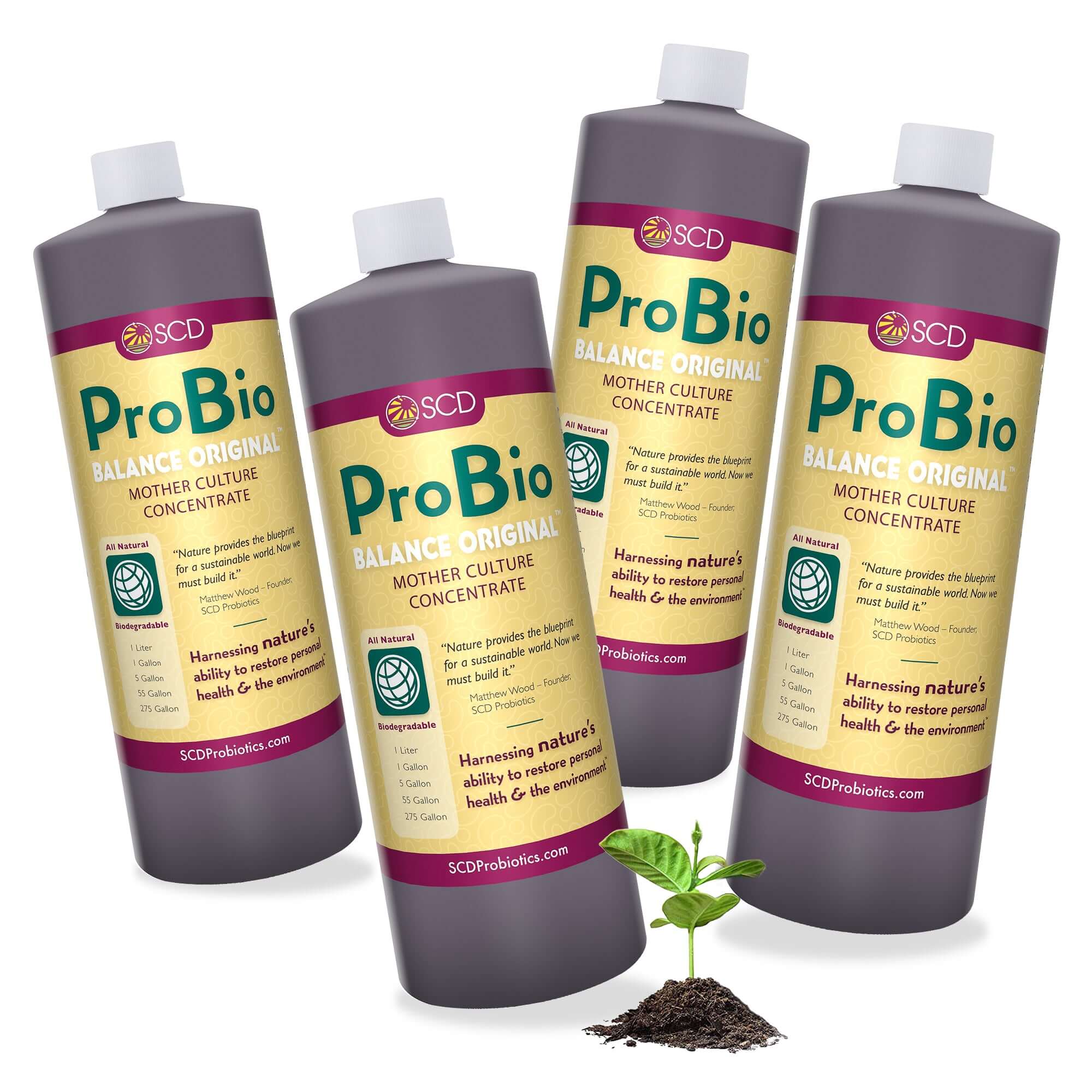 ProBio Balance Original - Natural SCD Probiotics