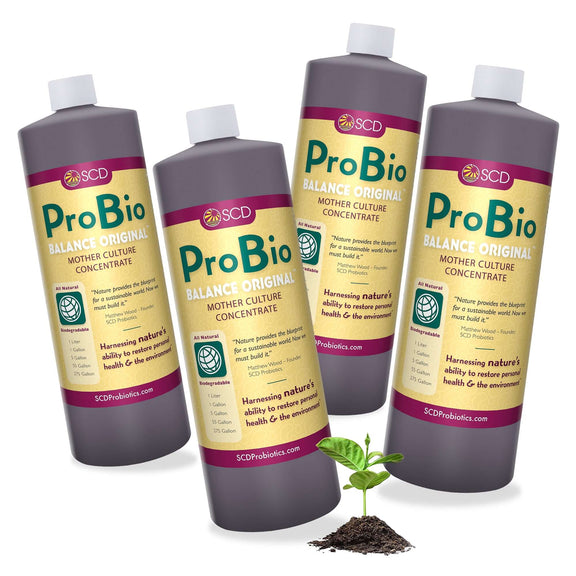ProBio Balance Original - Super Concentrated Beneficial Microbes